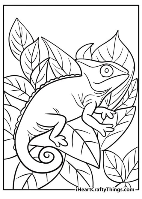 25 Chameleon Coloring Pages 100 Free To Print