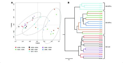 relationships between individual datasets illustrated by non metric