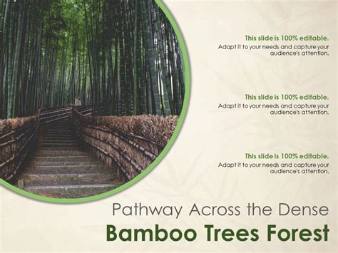 Top Trees Forest PowerPoint Presentation Templates In