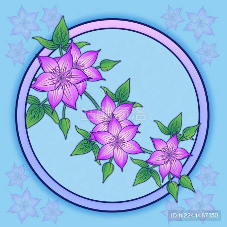 植物铁线莲插画 站酷海洛 正版图片 视频 字体 音乐素材交易平台 站酷旗下品牌