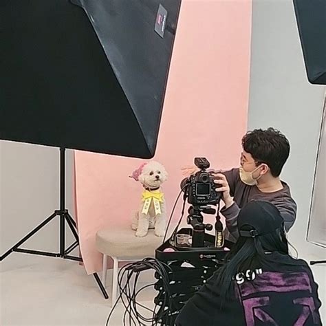천안 럽미앤퍼피스튜디오 성성점 애견스튜디오 추천 견생네컷 첫째 꼼지의 생일기념 사진찍고왔어요💗 네이버 블로그