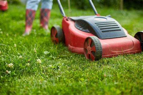 인식 할 수없는 여자는 집 정원에서 잔디 깎는 기계 잔디와 잔디를 깍는 정원사 여자 작업 35 39세에 대한 스톡 사진 및 기타 이미지 35 39세 가정 생활 계절