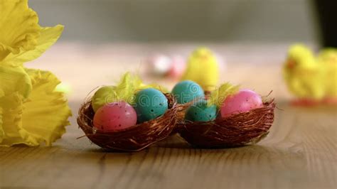 Easter Eggs And Daffodil Flowers Display Stock Footage Video Of