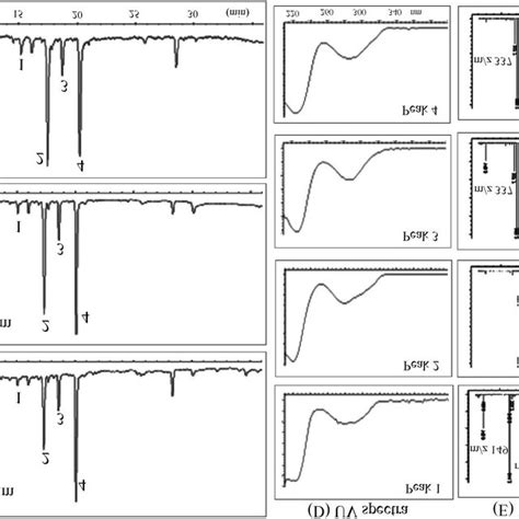 Lc Pda Ms Analysis Of The Methanol Extract From Product No 4 Root Download Scientific Diagram