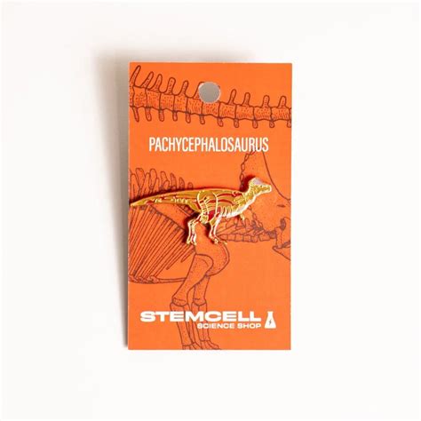Pachycephalosaurus Pin