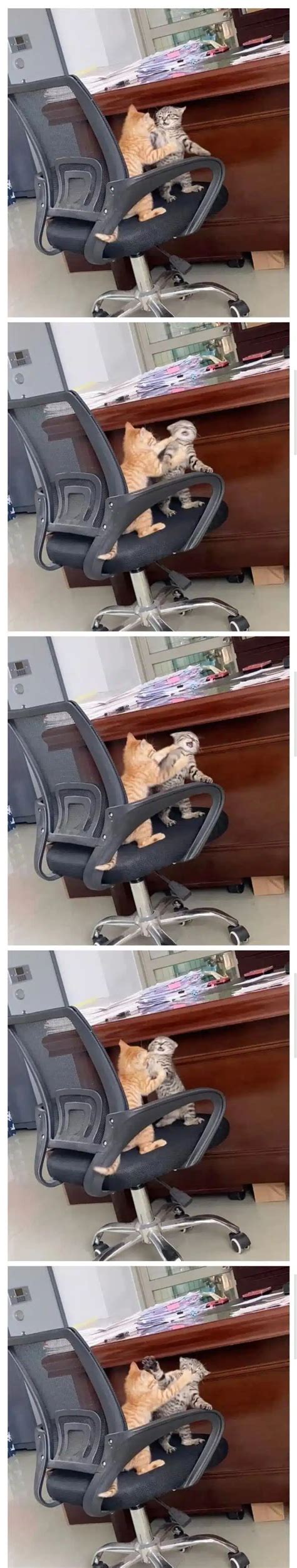 회사 사무실에서 싸움 났다 팬플러스 커뮤니티