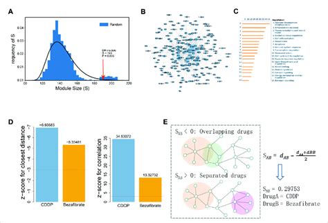 Correlation Analysis Between Dr And The Drugs Cddp And Bzf Based On