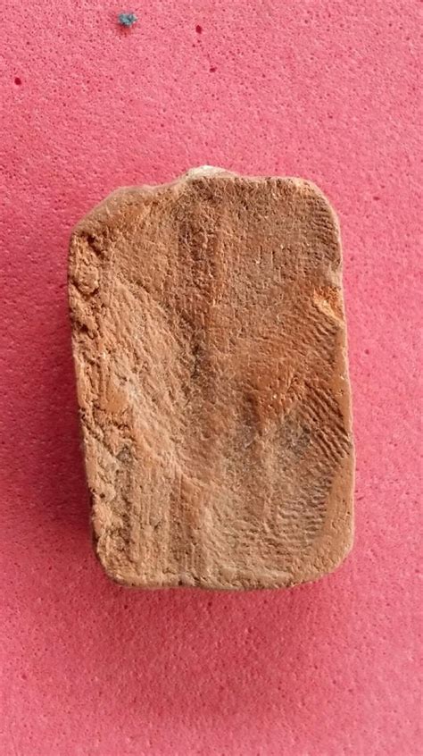 พระหลวงพ่อปาน วัดบางนมโค พิมพ์หนุมานใหญ่ทรงเครื่อง Ennxo