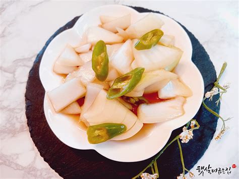 간장 양파장아찌 담그기 고깃집 초절임 간장소스