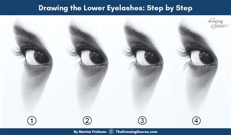 How To Draw A Realistic Eyelashes