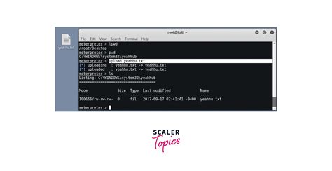 Meterpreter Command Cheatsheet Scaler Topics