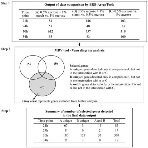 Schematic Illustration Of The Microarray Data Analysis Using