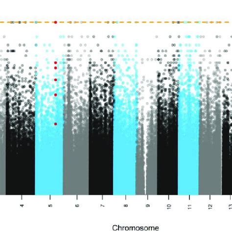 manhattan plot of exact p values and chromosome position the dashed
