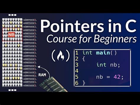 Understanding C Pointers A Beginner39s Guide Code With C