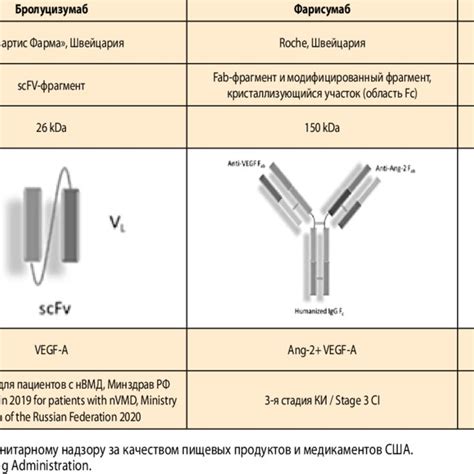 Comparative Characteristics Of Anti Vegf Drugs 9 Download