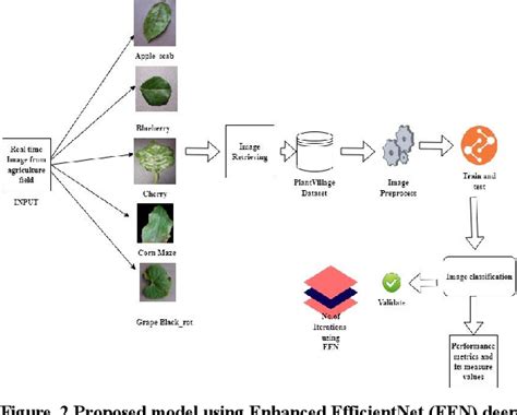 Figure 2 From Plant Disease Detection Using Enhanced Efficientnet Architecture In Comparison