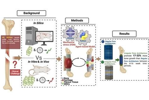Andy Weightman On Linkedin Virtual Design Of 3d Printed Bone Tissue Engineered Scaffold Shape