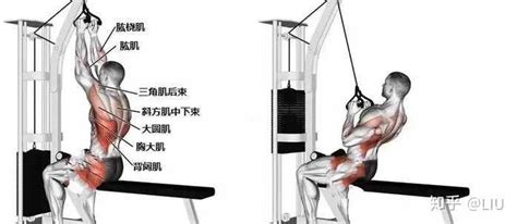 各位健身大佬好，拉高位下拉的时候，为什么背阔肌发力感觉不是很明显？ 知乎