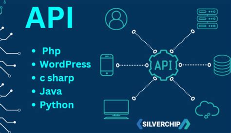 Do Python C Sharp Java App Project With Api Integration By Usama