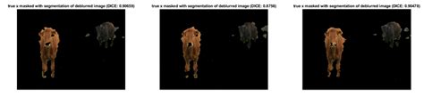The True Image Masked With Three Typical Segmentations Of The Bm3d