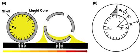 A Schematic Of The Process Through Which A Liquid Core Shell Particle Download Scientific