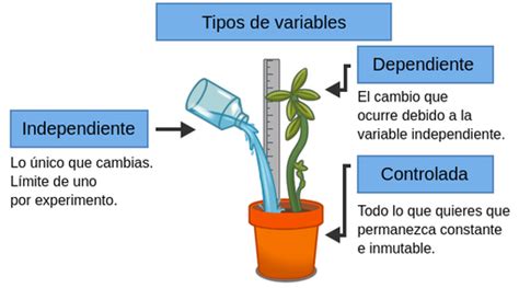 Variables Experimentales Labster Theory