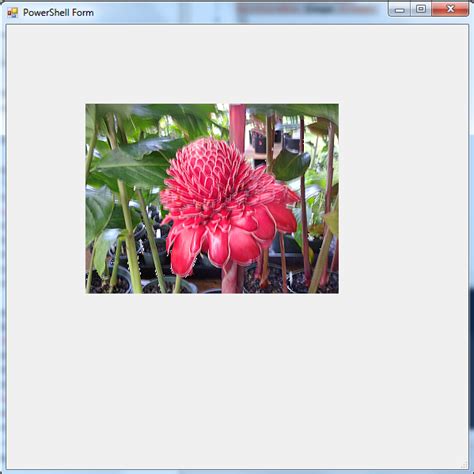 Hodentekhelp Can You Create A Windows Form With Powershell And Embed