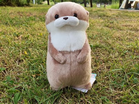 어뮤즈 소품 앙증맞은 수달인형 효달이 17cm Amuse 위시버킷