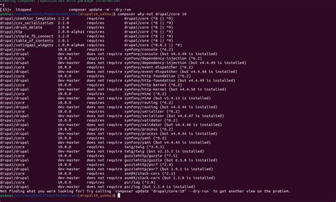 Step By Step Guide To Upgrade Drupal 9 To Drupal 10 To The New Blog