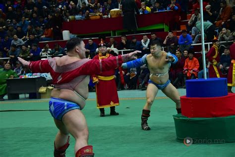 Таван аваргын нэрэмжит барилдаанд МУ ын заан М Өсөхбаяр түрүүлж улсын начин Д Амарсайхан үзүүрлэлээ