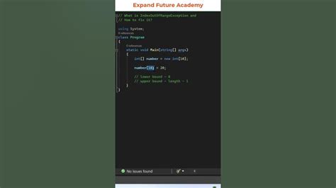 c programmers faq 22 indexoutofrange exception in c
