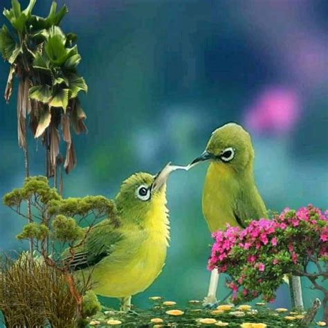 Lemyo Education Center သင့်ကိုယ်သင် ပြန်ကြည့်ပါ ၁ ကိုယ့်ဘဝကို သူများတ