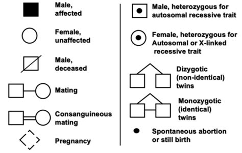 Patterns Of Inheritance Flashcards Quizlet