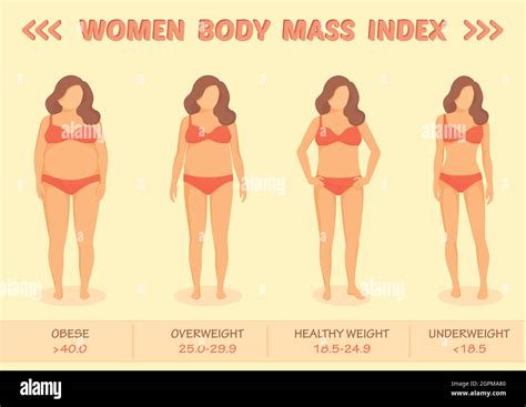 Body Mass Index Stock Vector Image And Art Alamy