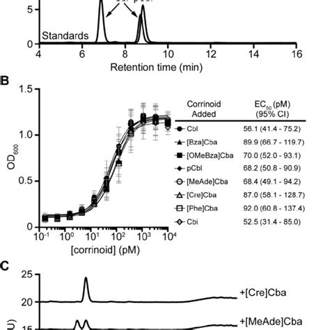Cobamide Structures A Structure Of Pcbl All Cobamides Are Composed Download Scientific