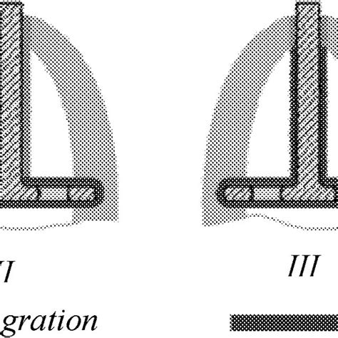 Osseointegration Degrees Download Scientific Diagram Osseointegration Degrees Download Scientific Diagram