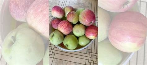 Яблоки купить в Волгограде Товары для дома и дачи Авито