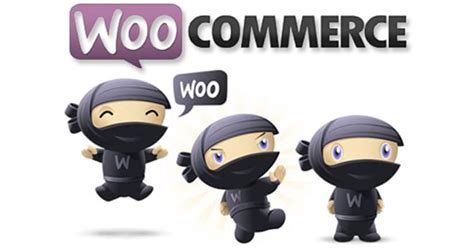 Use WooCommerce To Build An Online Store The Digital Agenda