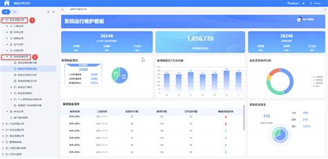 系统运维管理方案 数据分析与可视化指南