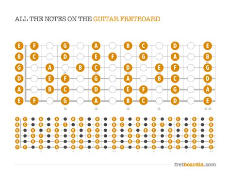 Fretboardia Unlock The Guitar And Ukulele Fretboard Learn Chords