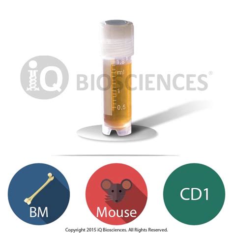 Buy Cd1 Mouse Bone Marrow Cells Iq Biosciences
