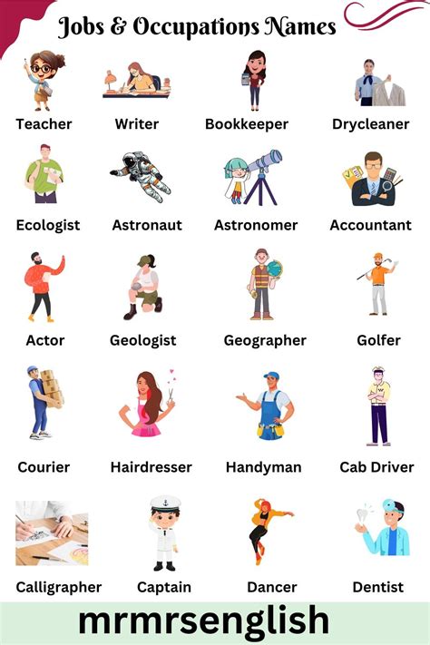 Jobs And Occupations Names In English And Their Images Artofit