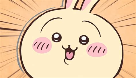 더쿠 [먼작귀] 너무 귀여운 마이웨이 토끼 우사기