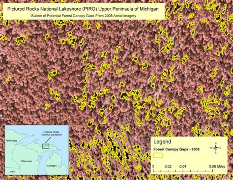 Identifying Forest Canopy Gaps Using Satellite And Aerial Imagery Land Imaging Report Site