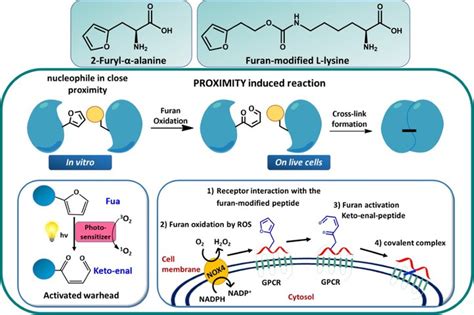Research — Organic And Biomimetic Chemistry Research Group Obcr — Ghent University