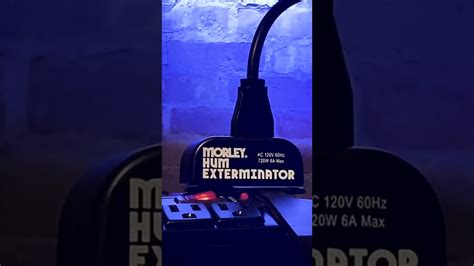 Morley Hum Exterminator For Ground Loop Hum Youtube