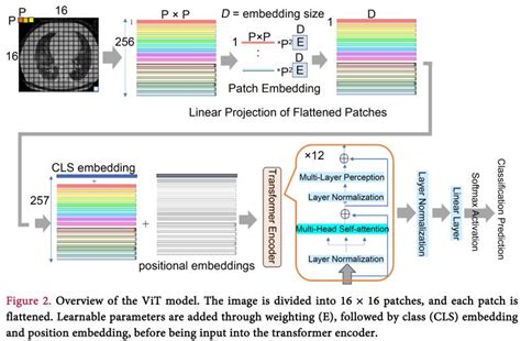 Deeplearning Visiontransformer Convolutionalneuralnetworks