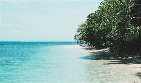 윤식당 길리 3섬 스노클링 투어