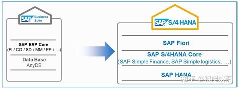 Sap 面试题：sap Ecc 跟s4 Hana 的区别？ 知乎