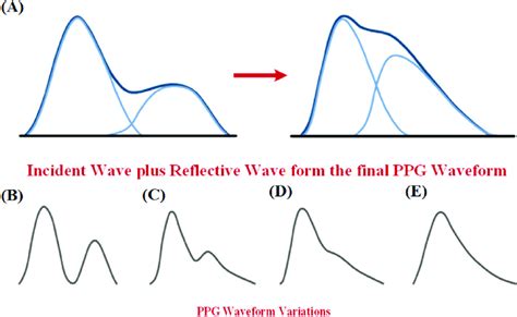 A B The Ppg Waveform Can Basically Be Regarded As A Composite Wave Download Scientific